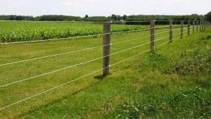 Electric Fence Testing: A Step-by-Step Guide Using a Multimeter